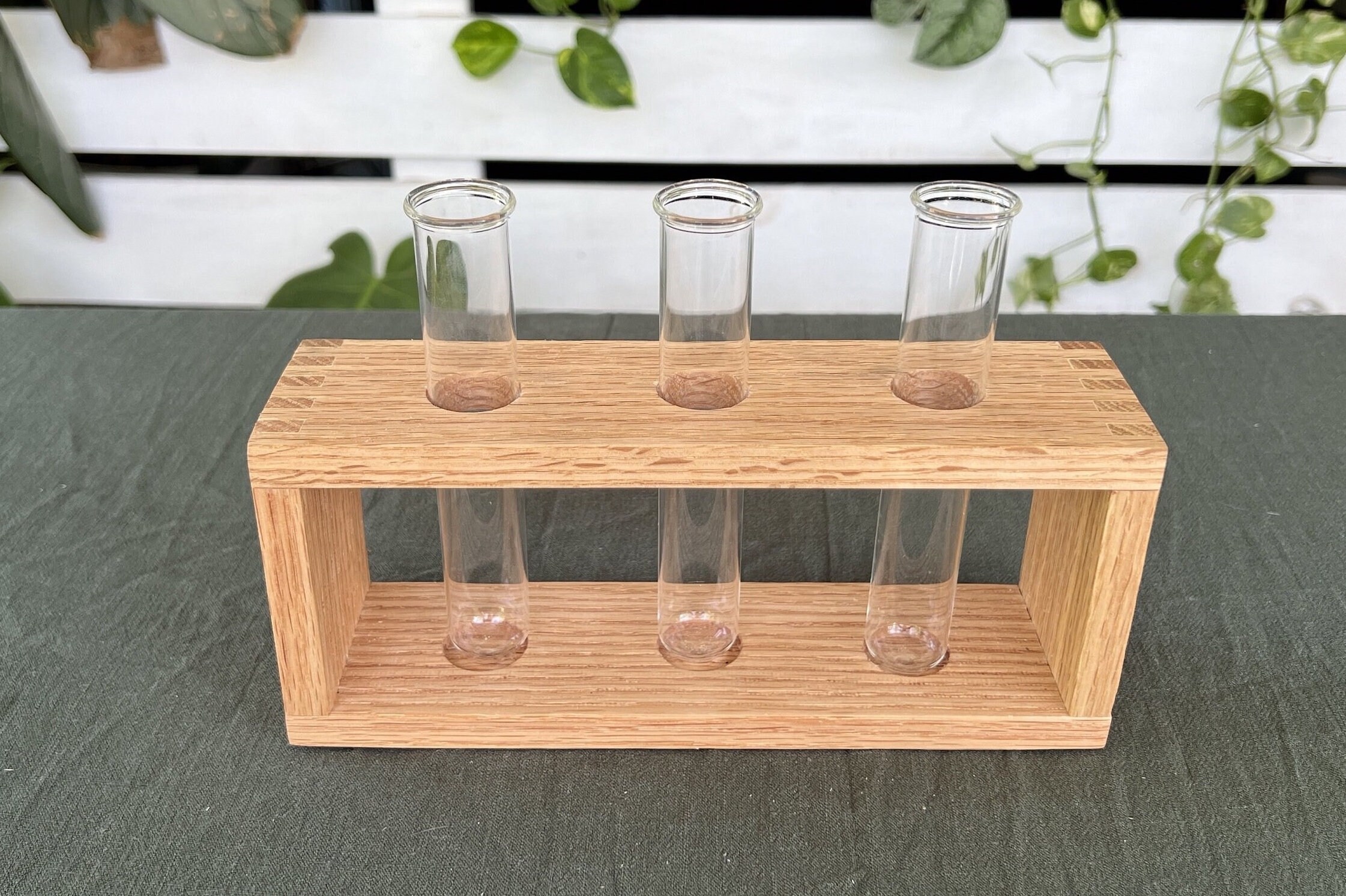 Propagation Stand With 3 Glass Vials - Etsy
