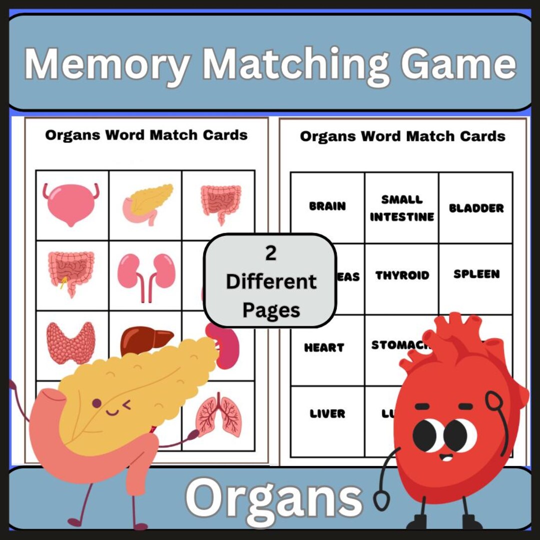 Human Body Organs Memory Game: Educational Learning Cards (digital ...