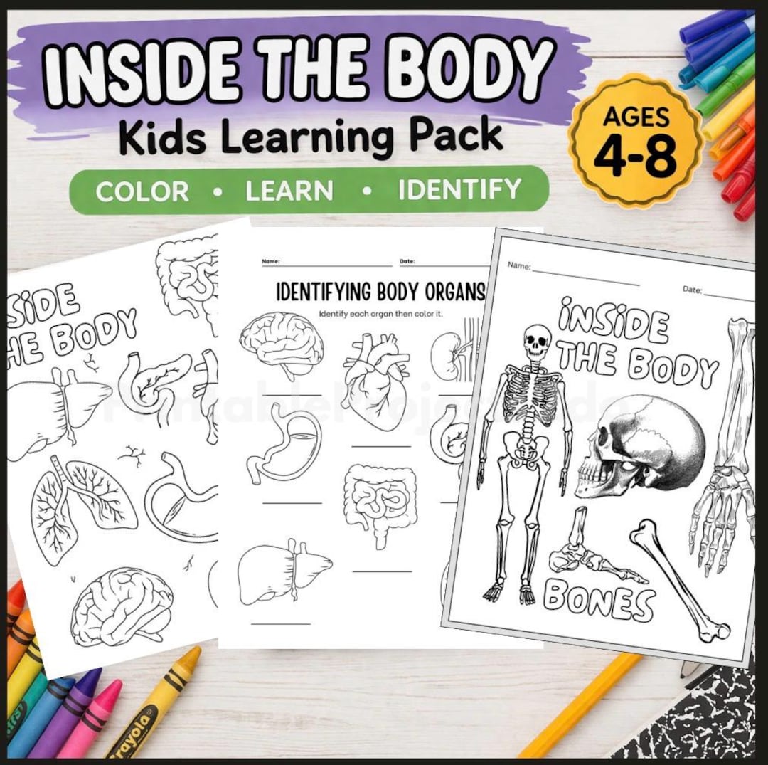 Kids Human Body Printable, Organs Coloring Pages, Inside the Body ...