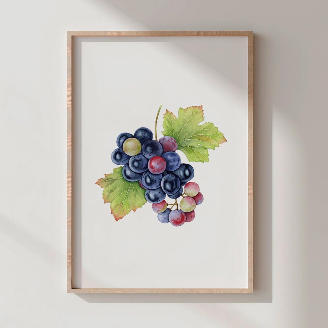 Watercolor Grapes Print, Rustic Vineyard Kitchen Decor (digital ...