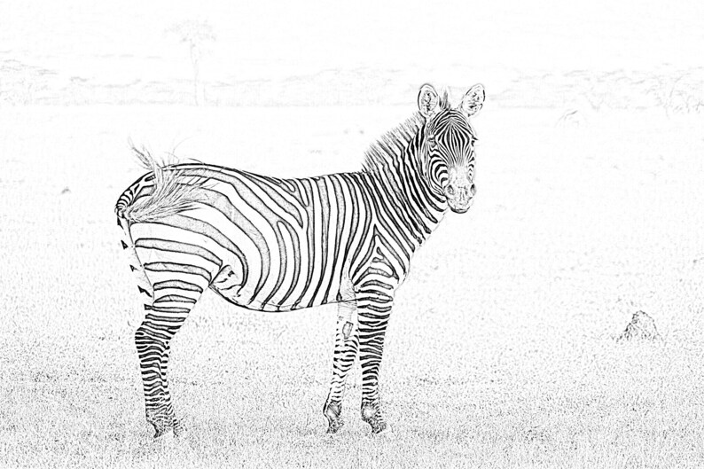 Coloring Pages for Kids | Printable Sketches for Coloring | Fun Art ...