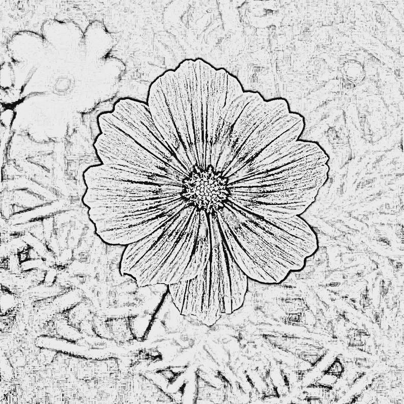 Coloring Pages for Kids | Printable Sketches for Coloring | Fun Art ...