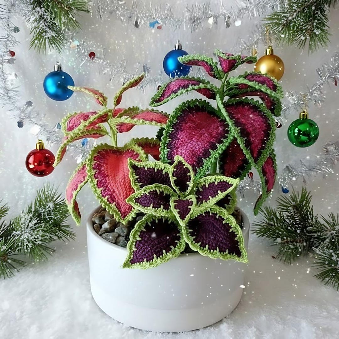 Watermelon Coleus Plant Crochet Pattern, Beginner-friendly Crochet ...