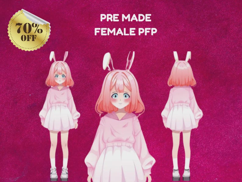 Aesthetic Premade PFP Art Model, Cute Chibi Art Character, PFP Icon for ...