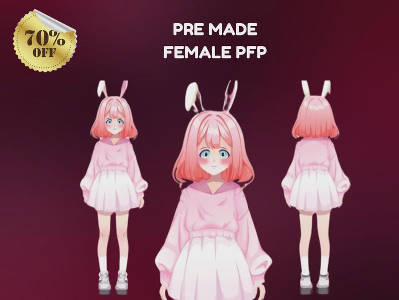 Aesthetic Premade PFP Art Model, Cute Chibi Art Character, PFP Icon for ...