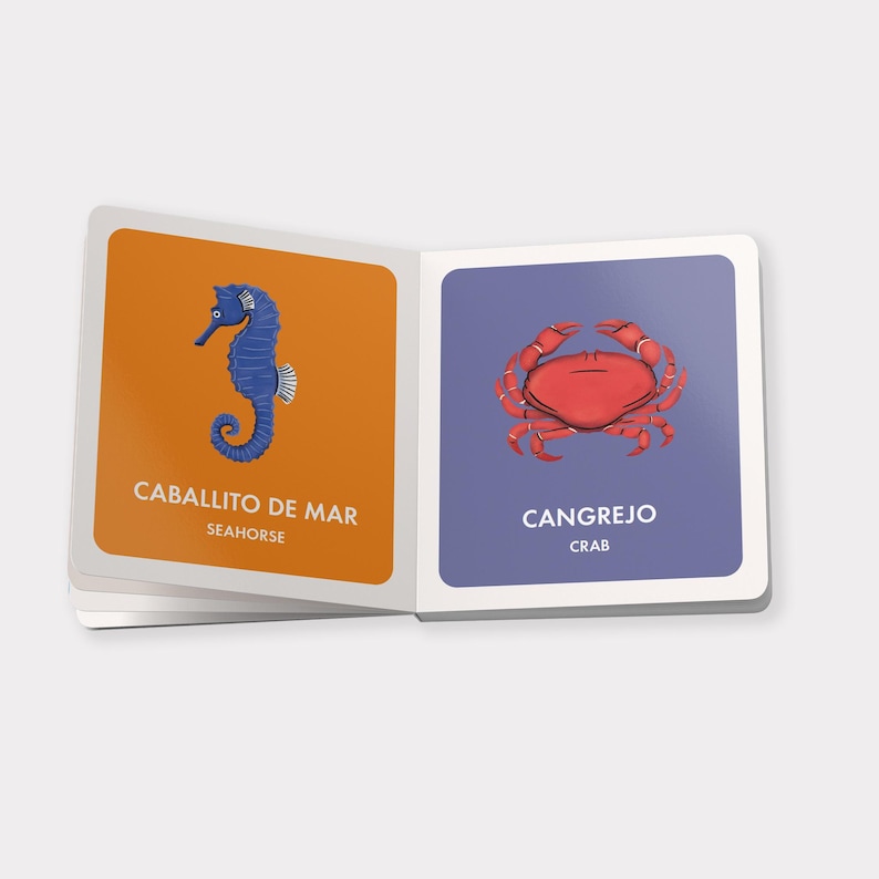 Bilingual Board Book Set: Latin American Culture, English-spanish ...