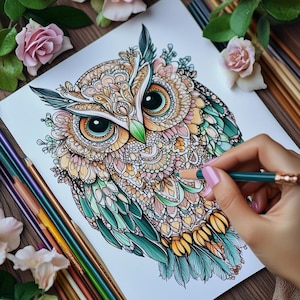 20 Mandala Owl Coloring Pages for Adults – Printable PDF, US Letter ...