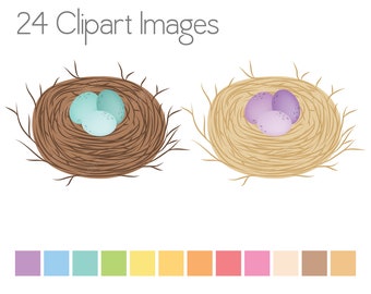 Birds Nest Eggs - Etsy