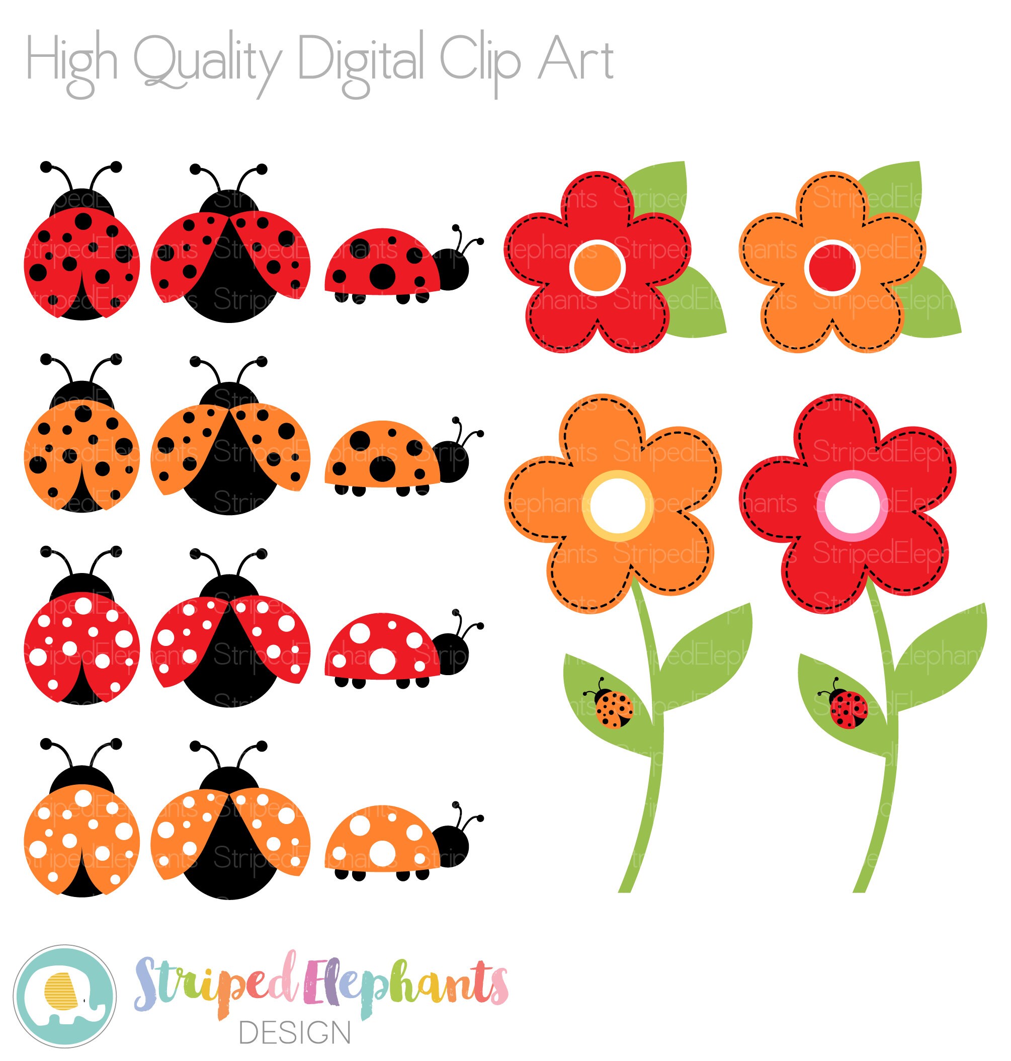 Lady Bug Clip Art Lady Beetle Clipart Instant Download Commercial Use ...