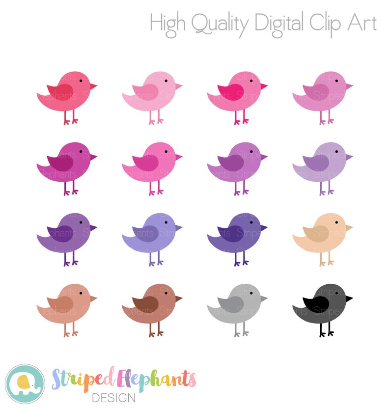 Birds Clipart Animals Digital Clip Art Instant Download | Etsy