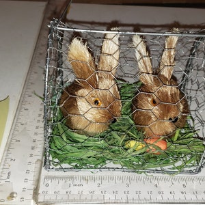Chicken Wire Pen With 2 Bunnies Inside. Easter Decor Excellent ...