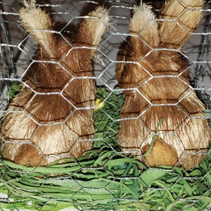 Chicken Wire Pen With 2 Bunnies Inside. Easter Decor Excellent ...