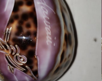 Carved Sea Shell - Etsy