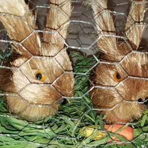 Chicken Wire Pen With 2 Bunnies Inside. Easter Decor Excellent ...