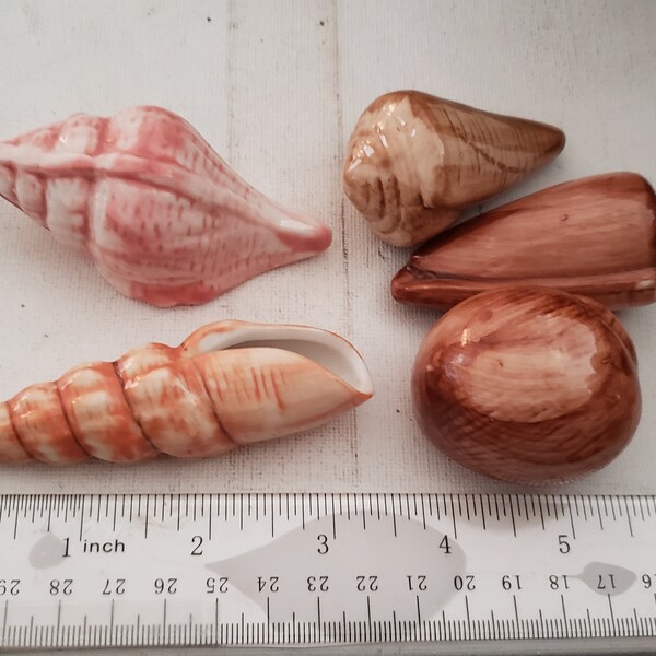 Ceramic Sea Shells - Etsy