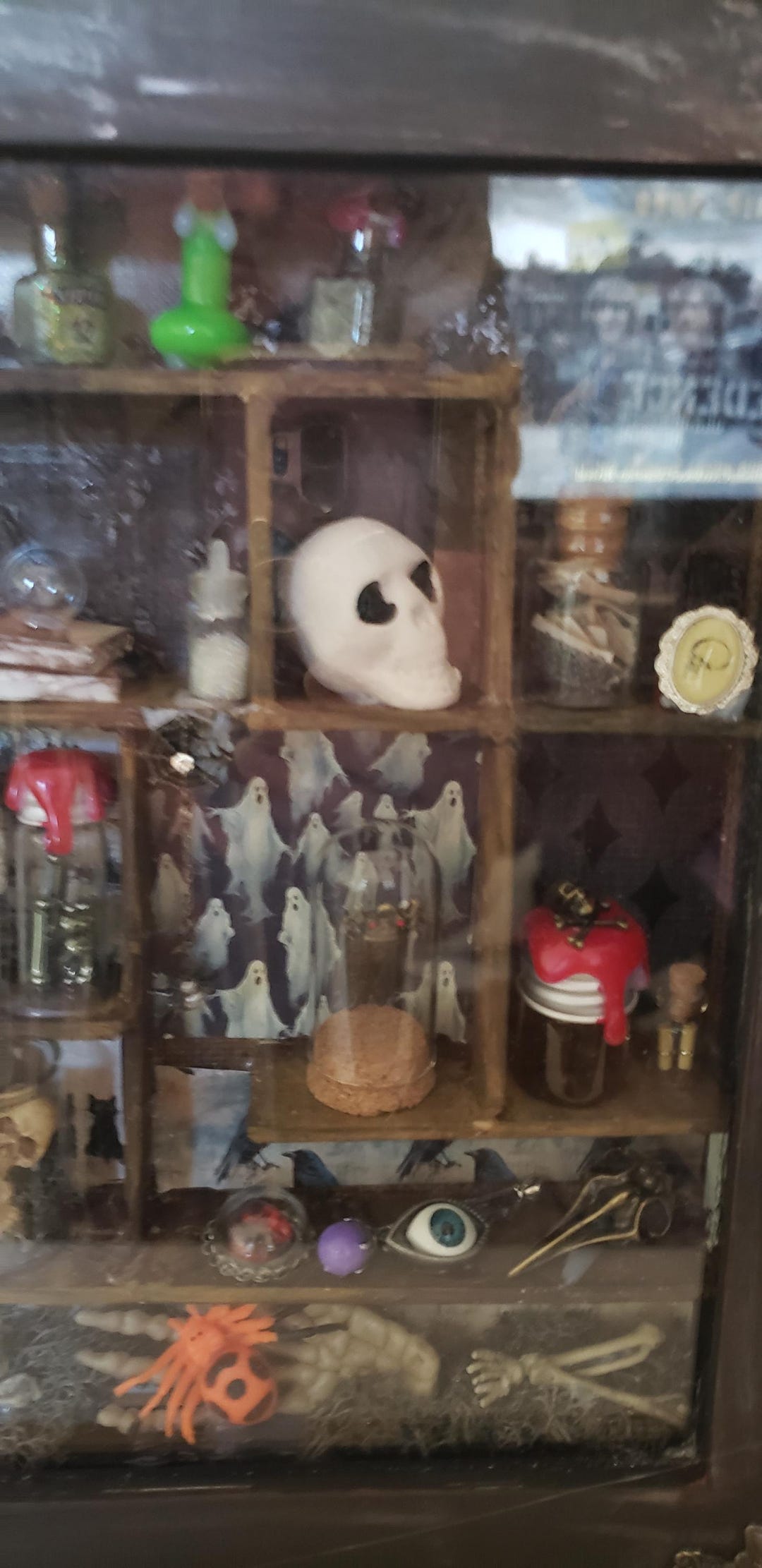 Spooky Halloween Cabinet of Curiosities Hand Made One of a Kind ...