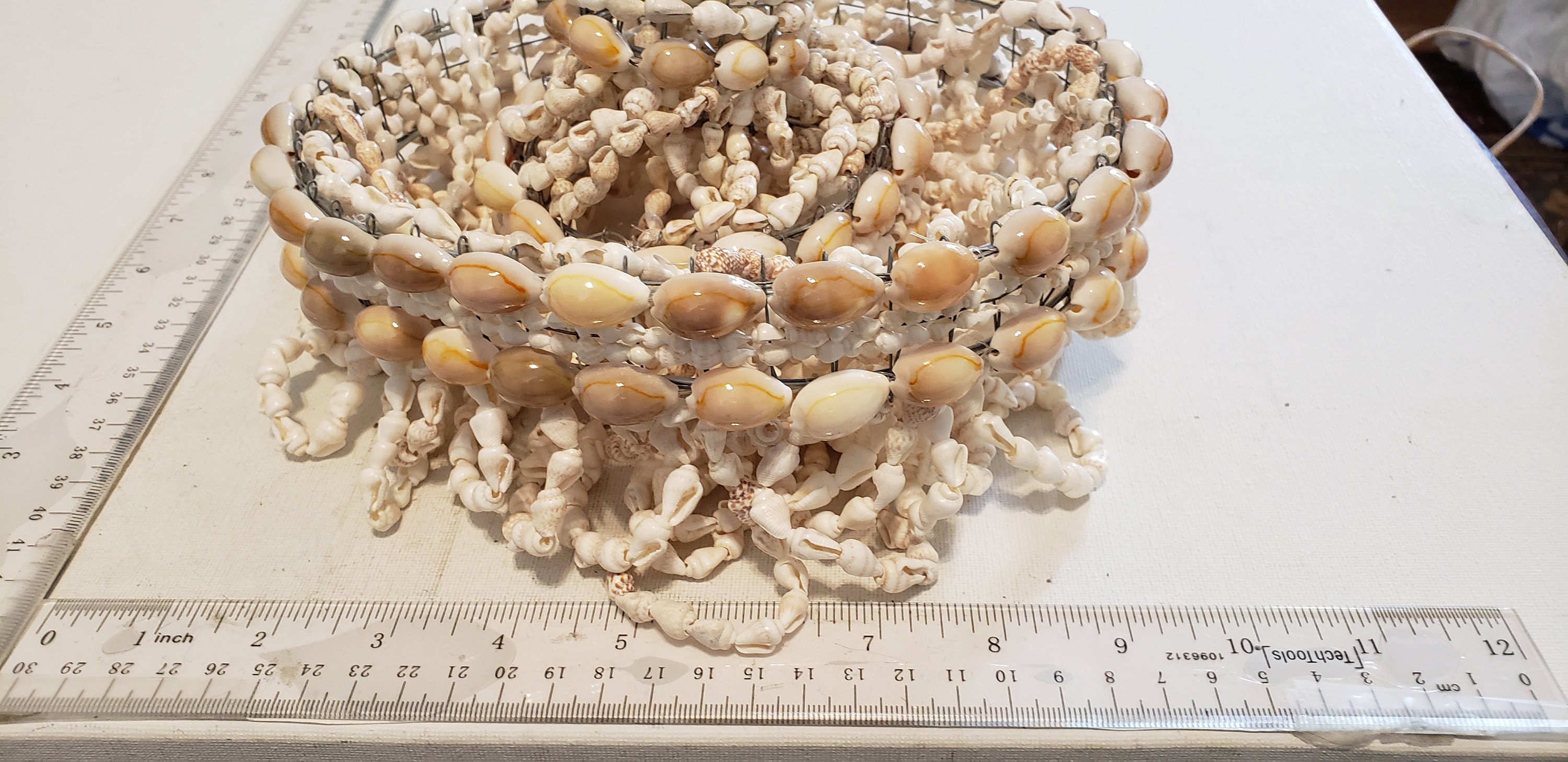 Sea Shell Plant Holder Excellent Condition - Etsy