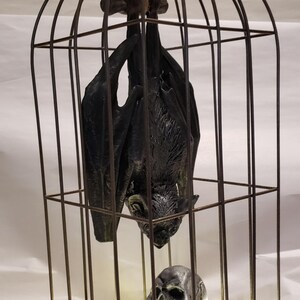 Spooky Halloween Cage Bat Skull Excellent Condition Hand Made - Etsy
