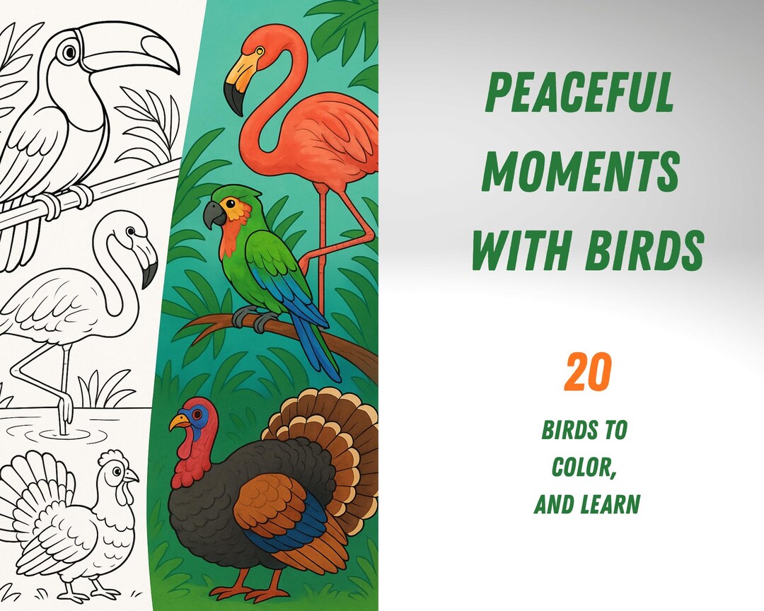 20 Bird Coloring Pages for Kids, Printable Coloring Book, PDF Activity ...