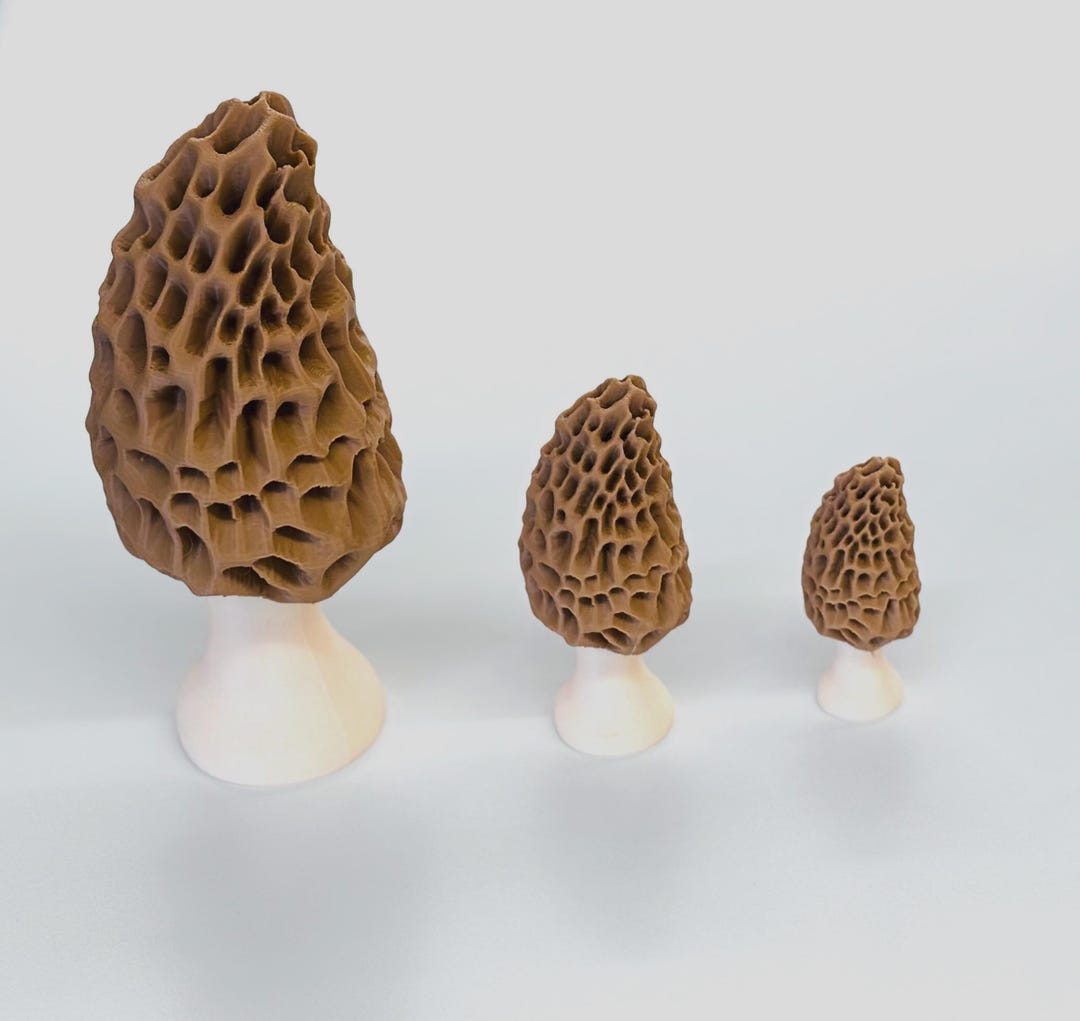 Realistic Morel Mushrooms, 3D Printed Andy Gump Mushrooms - Etsy