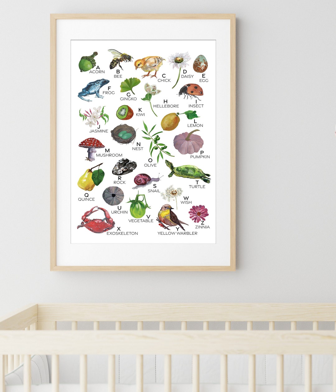 Alphabet Print | Naturalist Poster | Abcs Nature | Watercolor Paintings ...