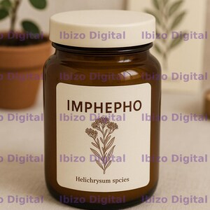 30 Printable Muti Herb Labels – Spiritual Container Stickers for ...