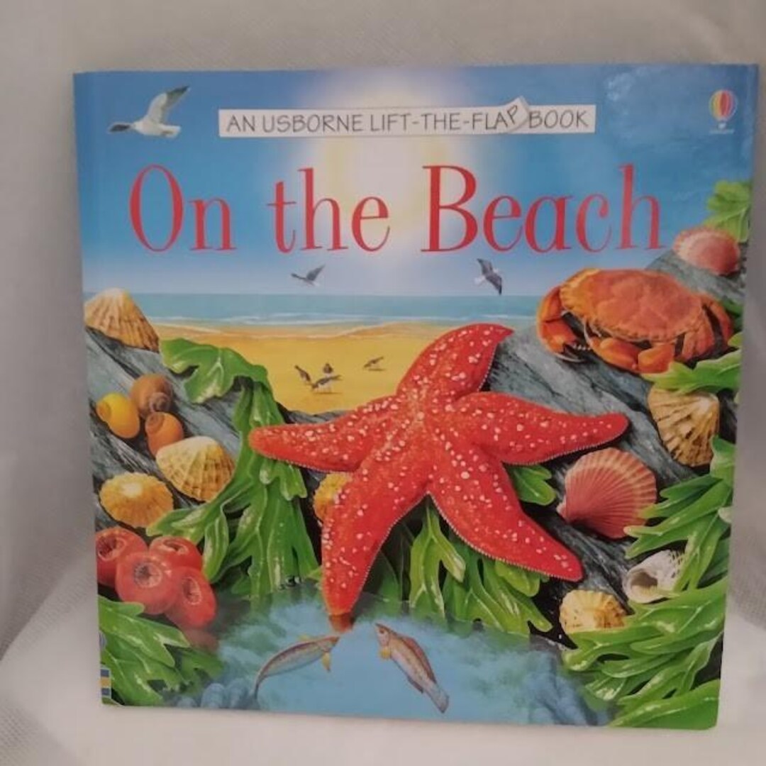 On the Beach (usborne Lift-the-flap Book) - Paperback - VERY GOOD - Etsy
