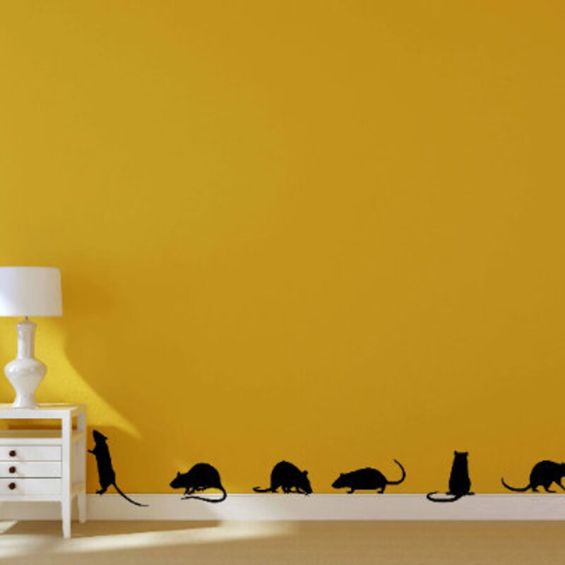 TheVinylCompany - Etsy