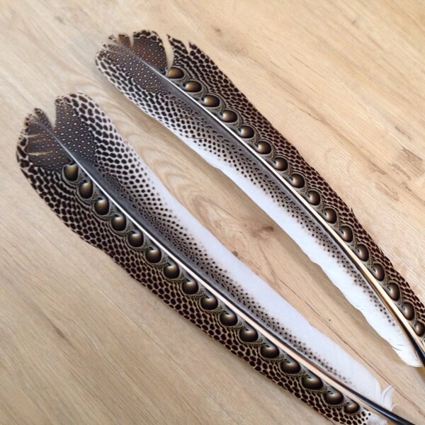 Large Feathers - Etsy