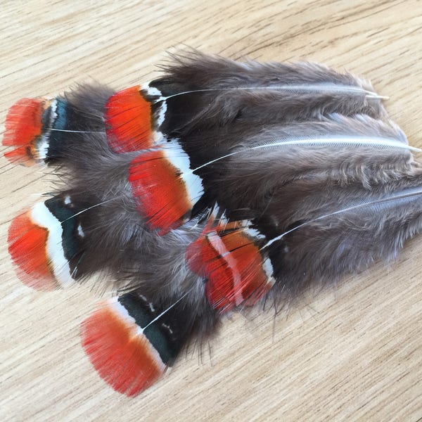 Fiery Feathers - Etsy