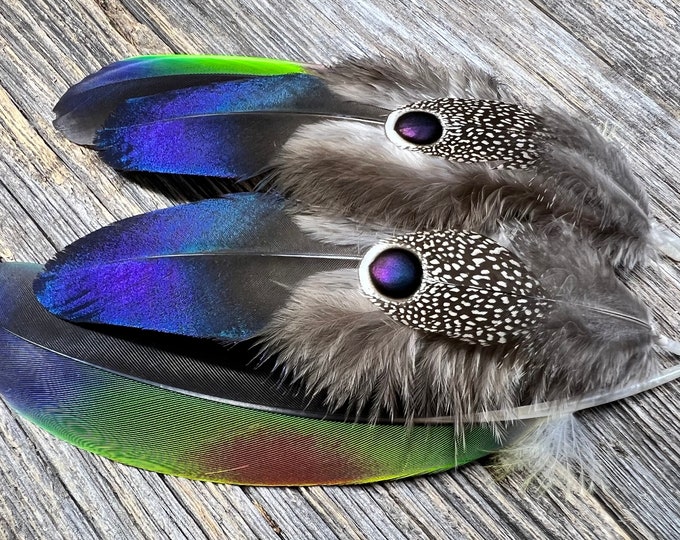 Rare PAIRS Cruelty Free, Natural Feathers, Real Feathers, Feathers for ...
