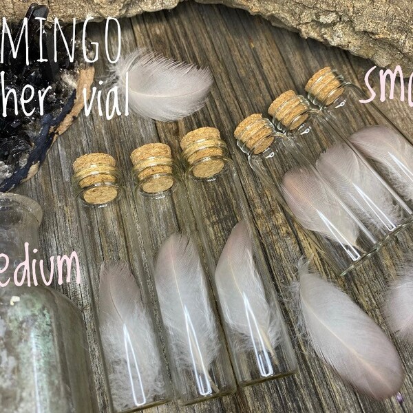 Feather Study - Etsy