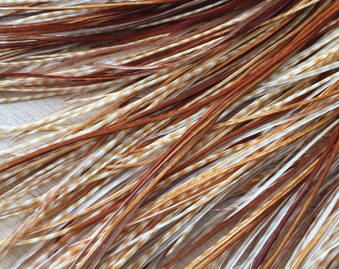 SUPERFINE Ginger Hair Feathers Extra Thin Slender No Fluff Lanky Soft ...