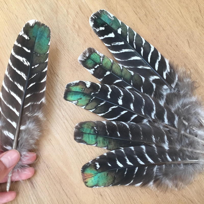 Turkey Wing Feathers - Etsy