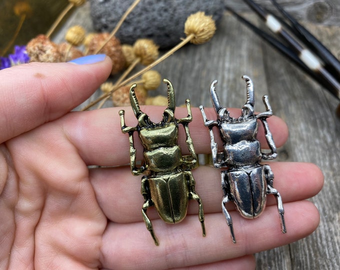 Brass Beetle Ring - Stag Beetle, Statement Ring, Biodiversity, Nature ...