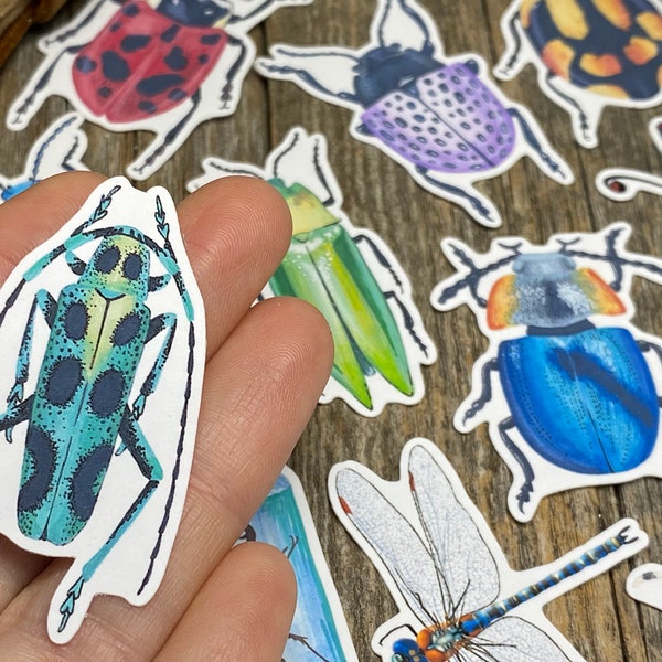 Zoology Stickers - Etsy