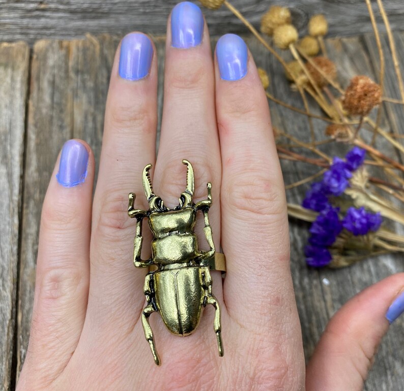 Brass Beetle Ring Stag Beetle Statement Ring Biodiversity | Etsy