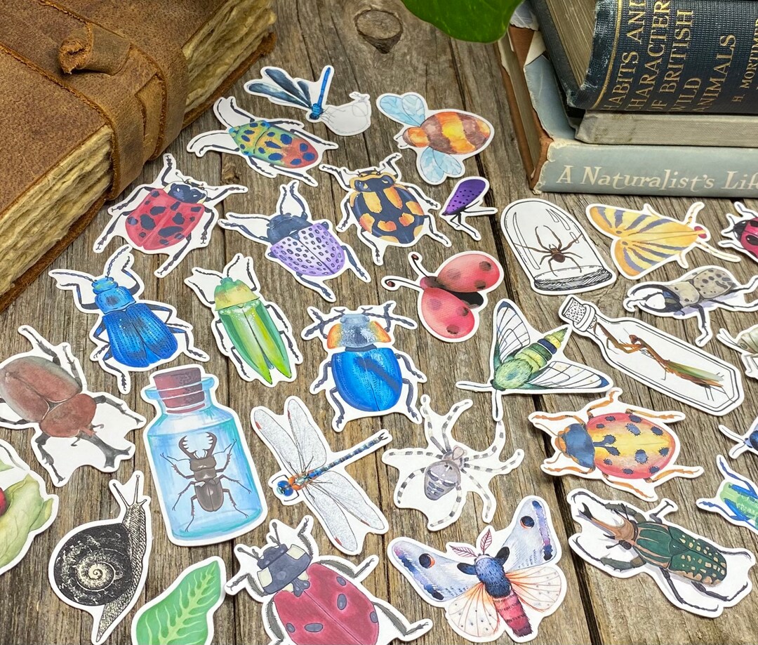 VIBRANT Set of 35 Realistic Insect Stickers Nature Lover - Etsy