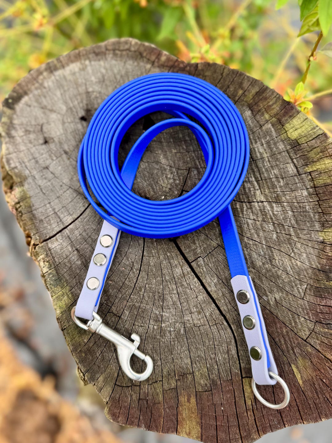 3/4" Waterproof Biothane Dog Long Line 3/4" : No-snag Training Leash - Etsy