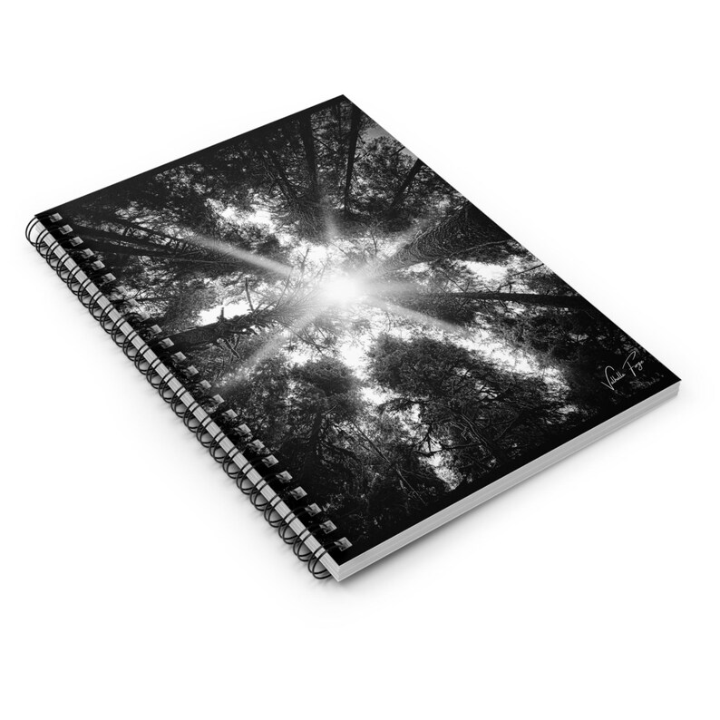 Spiral Notebook - Black and White Tree Sunbeam Journal, Planner, Diary ...
