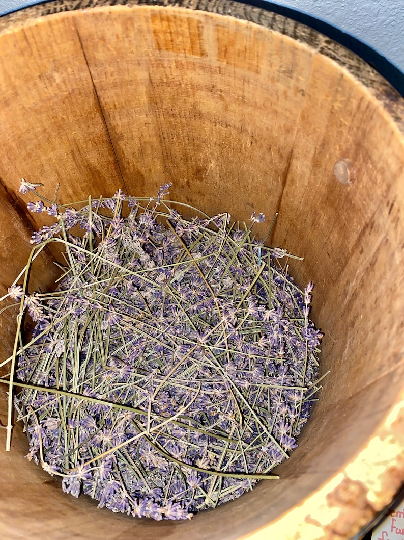 1800's Primative Furkin Painted Antique Firkin - Etsy