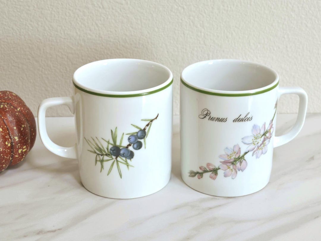 Apilco Elysian Gardens Porcelain Coffee Mugs Pair – Prunus Dulcis ...