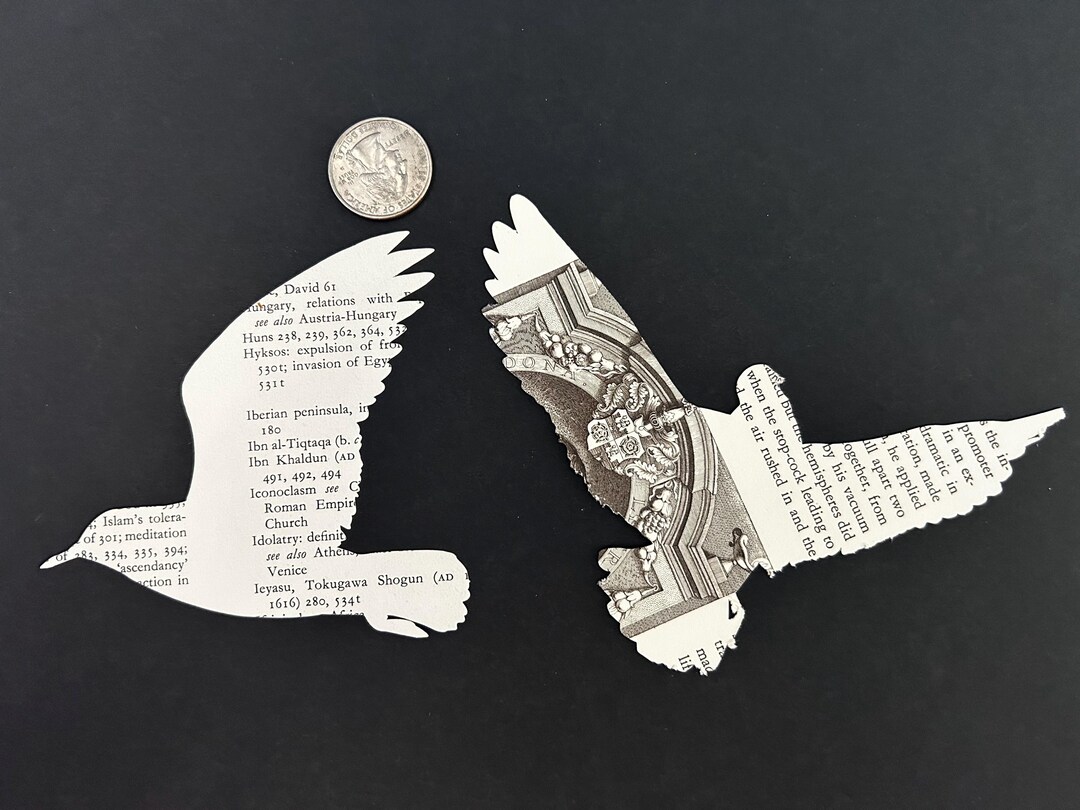 8 Vintage Paper Cut Out Birds, Large Cutouts, Bird Art, Vintage Birds ...