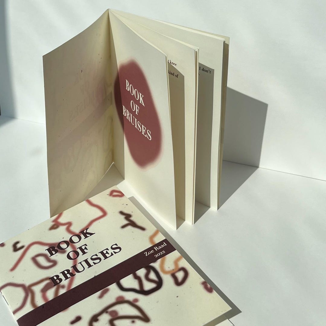 Zine Digital Download: “book of Bruises” - Etsy