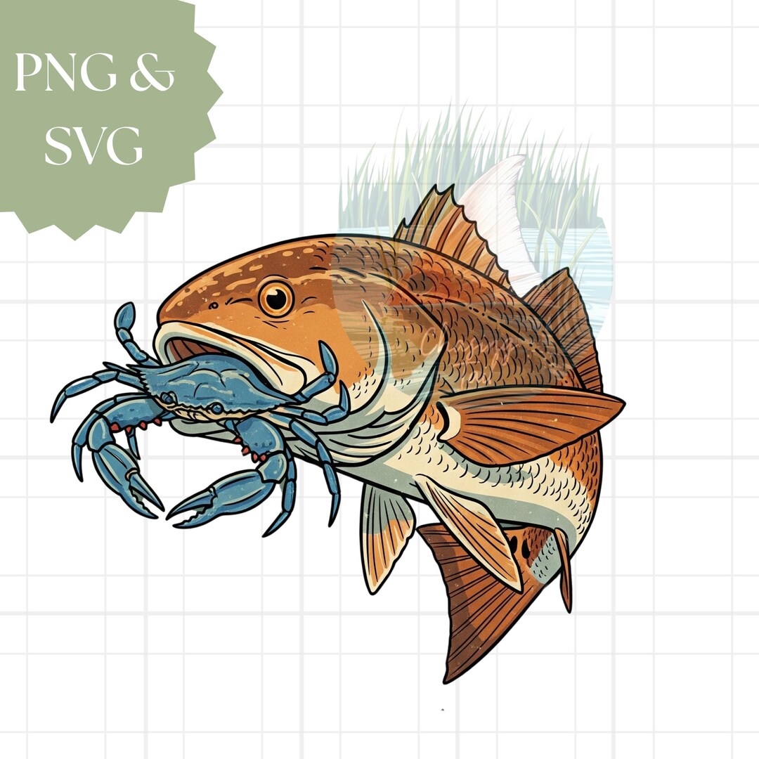 Redfish Eating Blue Crab Coastal Art - Fishing PNG SVG (digital ...