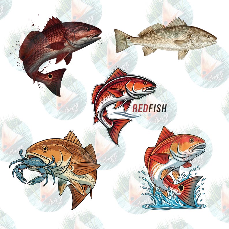 30 Redfish Designs: Coastal Fishing Art (PNG SVG Digital Download) - Etsy