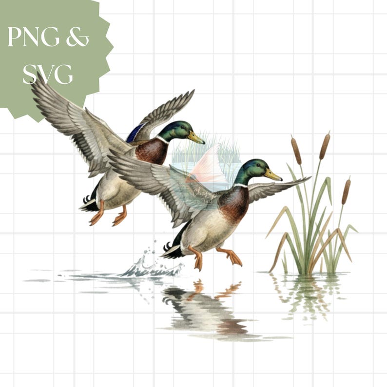 Watercolor Flying Mallards Clipart: Vintage Duck Hunting Design (SVG ...