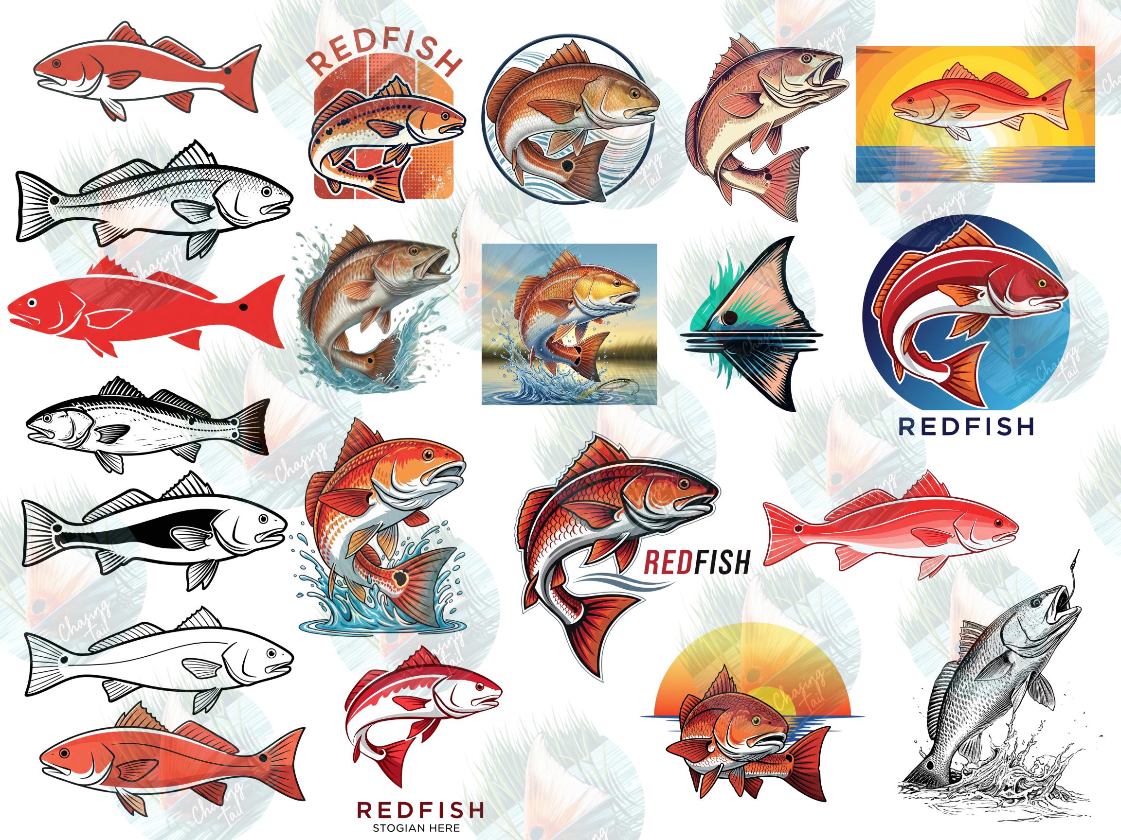 Inshore Fishing Designs: Redfish, Tarpon, Snook SVG PNG (digital ...