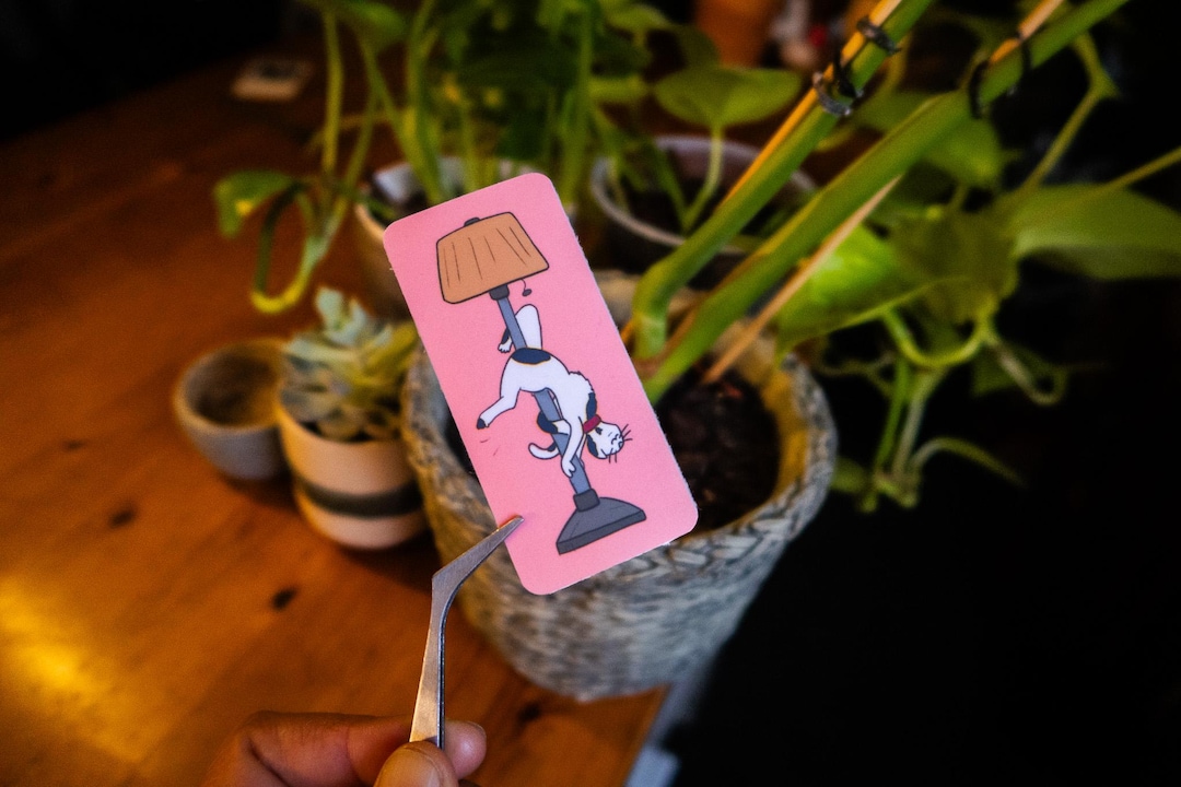 Playful Pole Dancing Cat Sticker: Laptop, Water Bottle Decal - Etsy