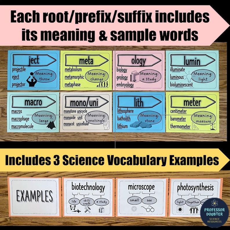 Science Bulletin Board Root Words Prefixes and Suffixes Posters and ...